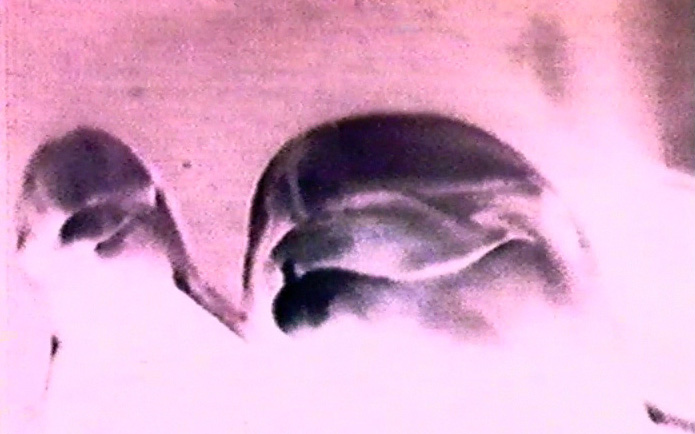 M+ Screenings in July presents This is Now: Film and Video After Punk ...