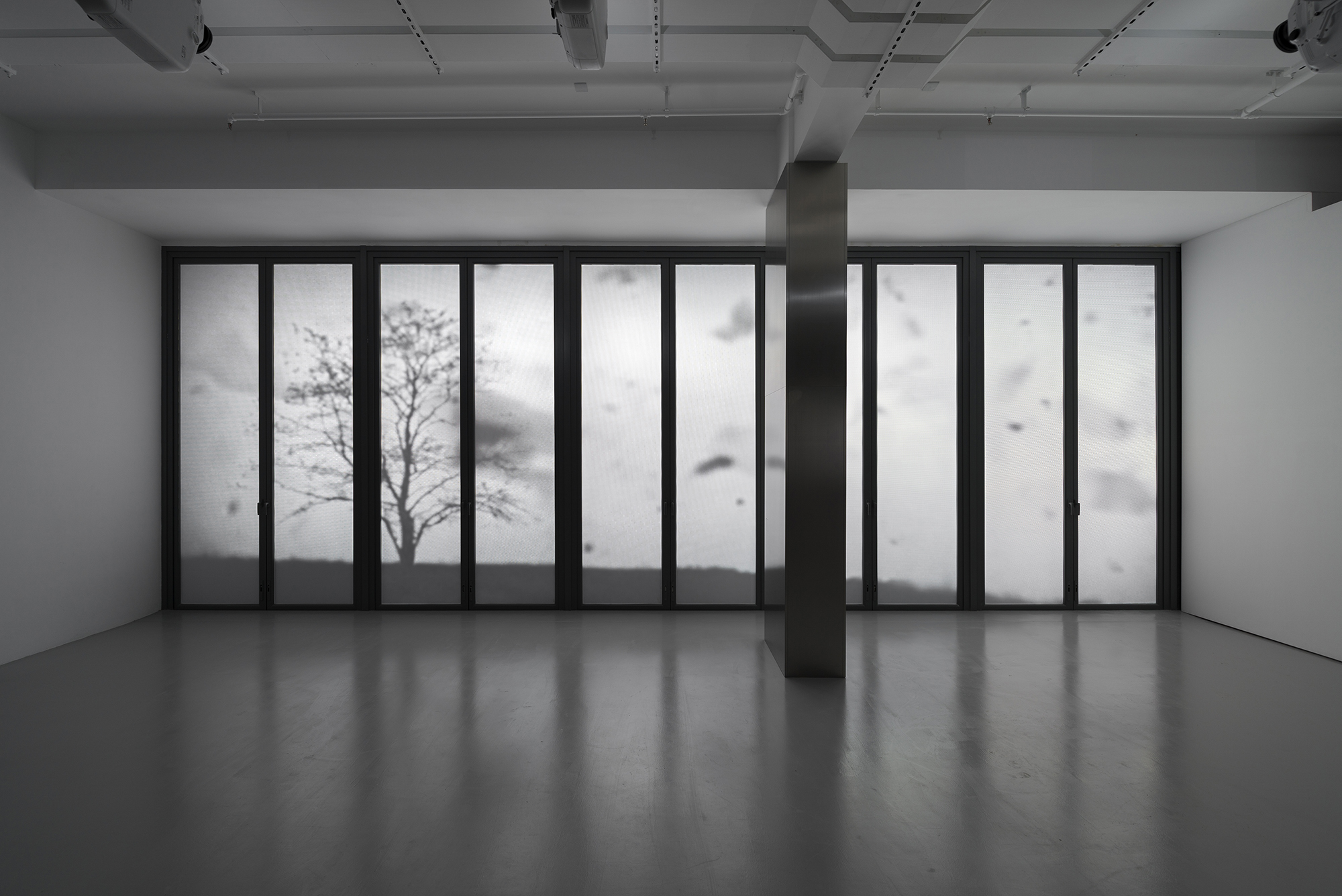 M+ Pavilion unveiled with solo exhibition of Tsang Kin-Wah: Nothing | WestK