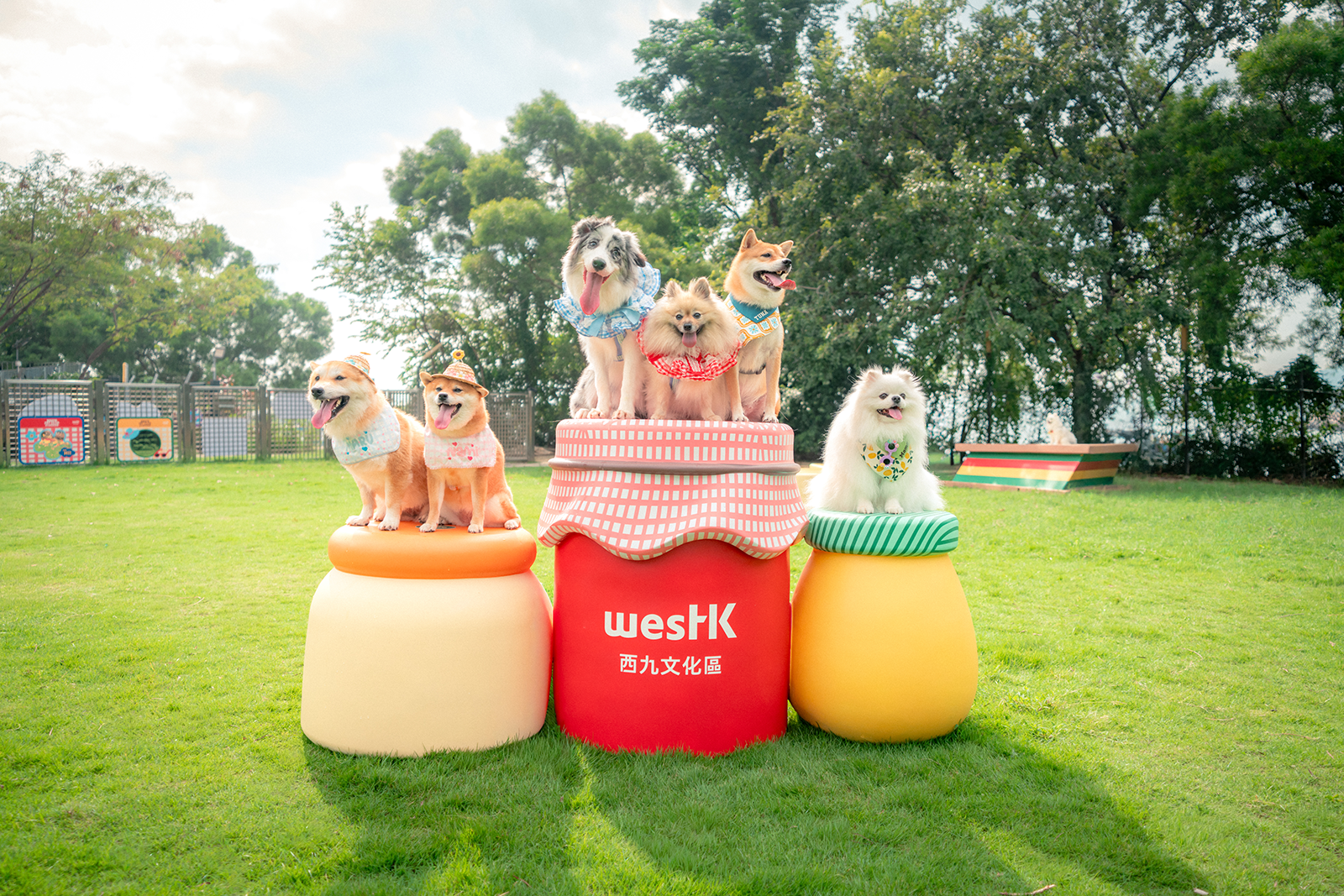 WestK Pet Club — Now Open!