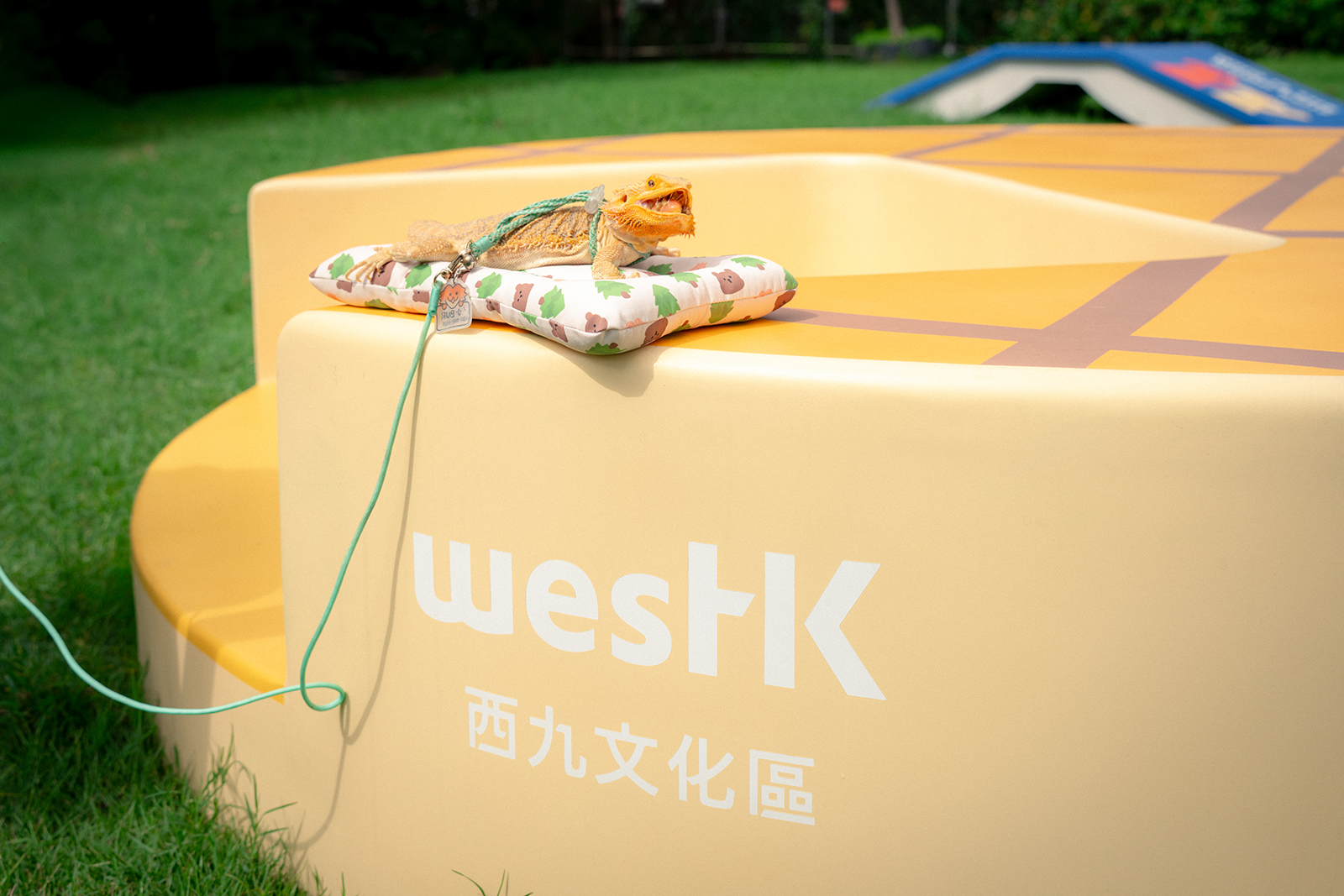 WestK Pet Club — Now Open!