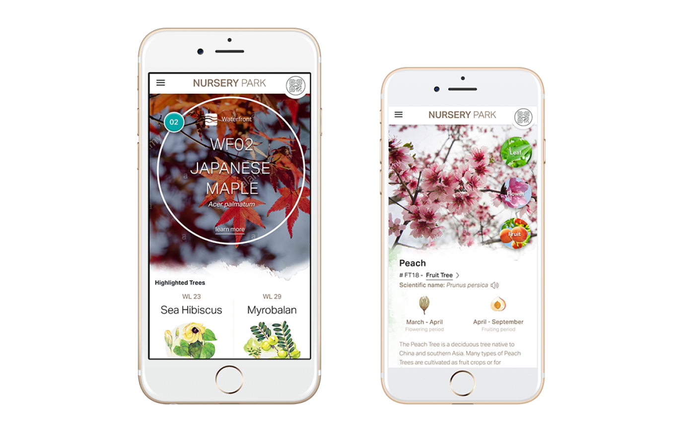 West Kowloon Cultural District makes debut appearance at the Flower ...